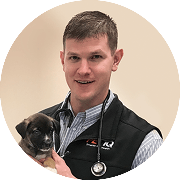 Veterinary Medicine Standards of Care | PetVet