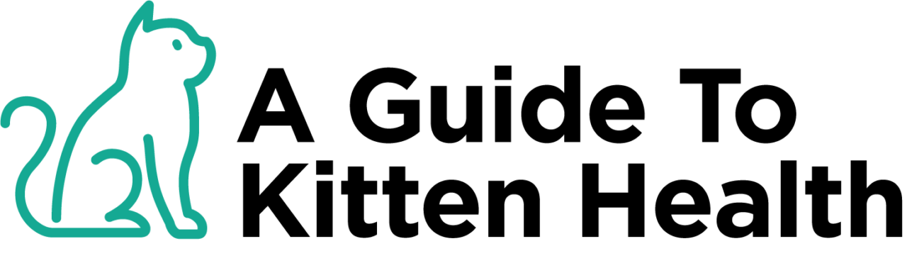 New Kitten Guide | PetVet