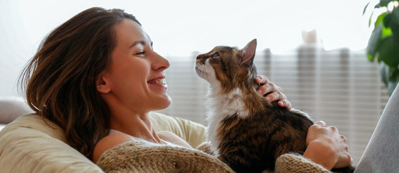 New Kitten Guide | PetVet