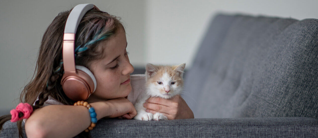 New Kitten Guide | PetVet