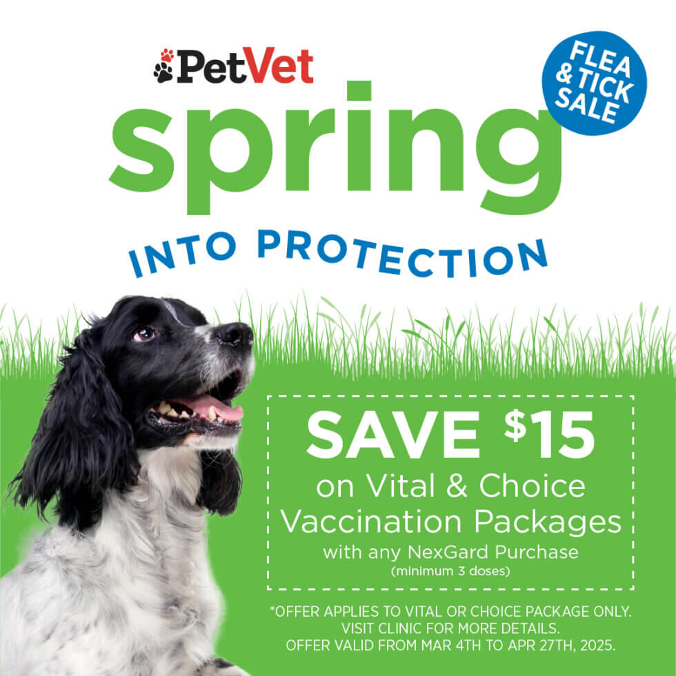 Current Promotions | PetVet