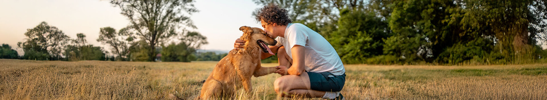 Pet Health Awareness: Heartworm Prevention | Featured PetVet